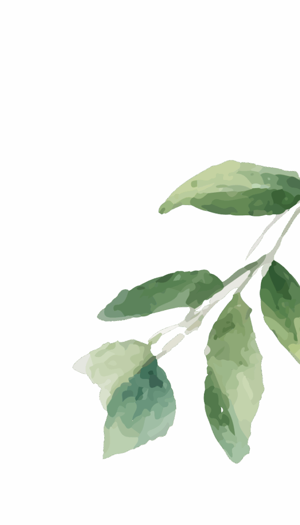 Landscaping Instant Online Estimator Tool